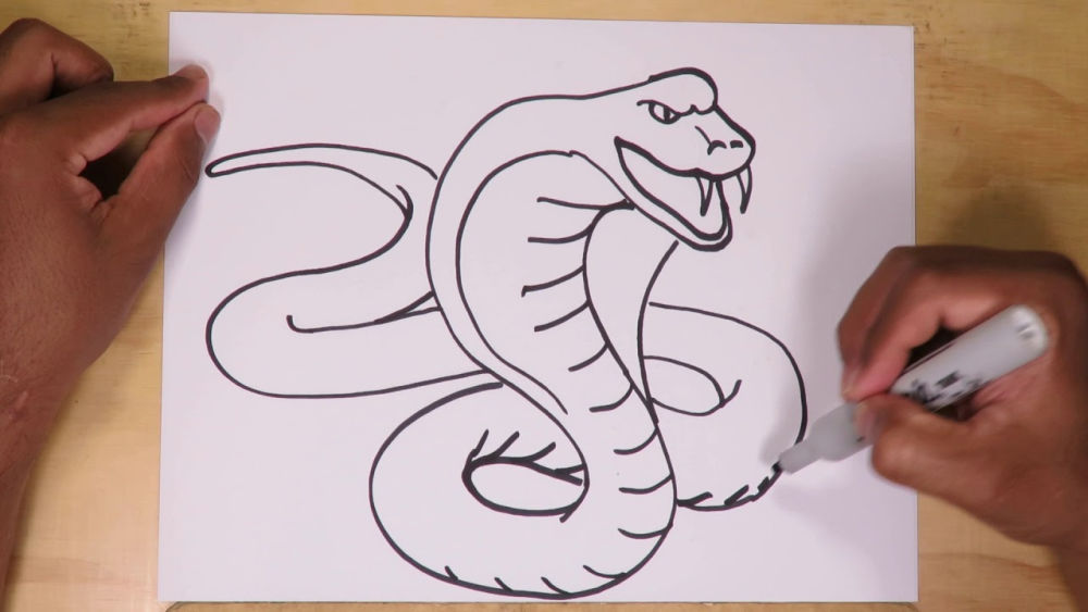 25 Easy Snake Drawing Ideas - How to Draw a Snake - Blitsy