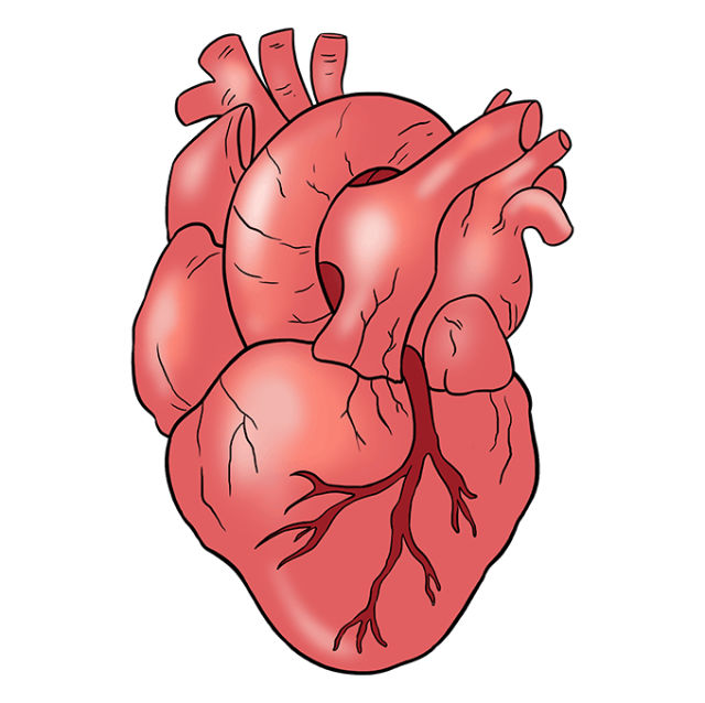 25 Easy Heart Drawing Ideas - How to Draw a Heart - Blitsy