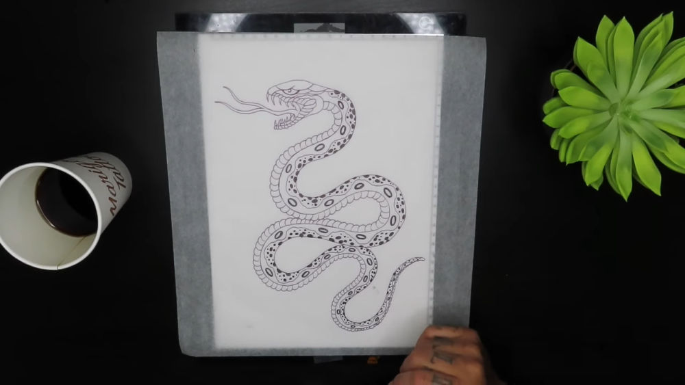25 Easy Snake Drawing Ideas - How to Draw a Snake - Blitsy