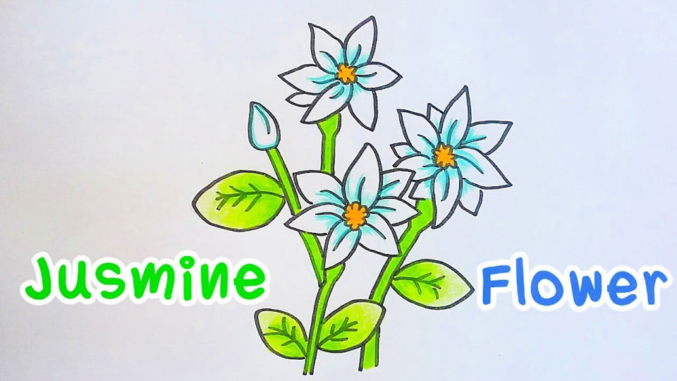 35 Easy Flower Drawing Ideas - How to Draw a Flower