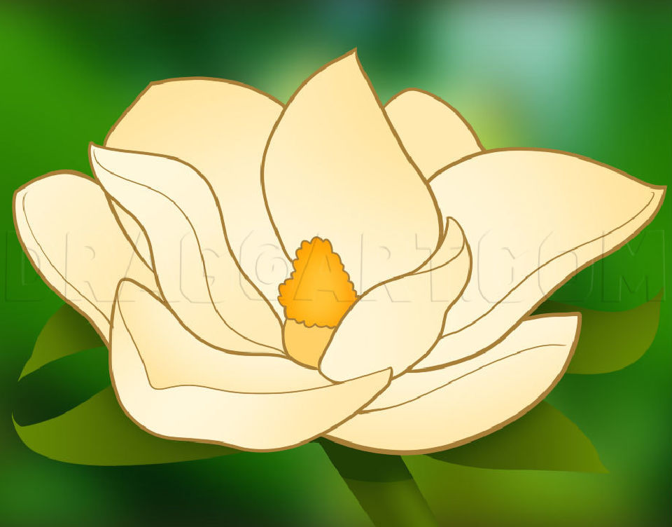 35 Easy Flower Drawing Ideas - How to Draw a Flower