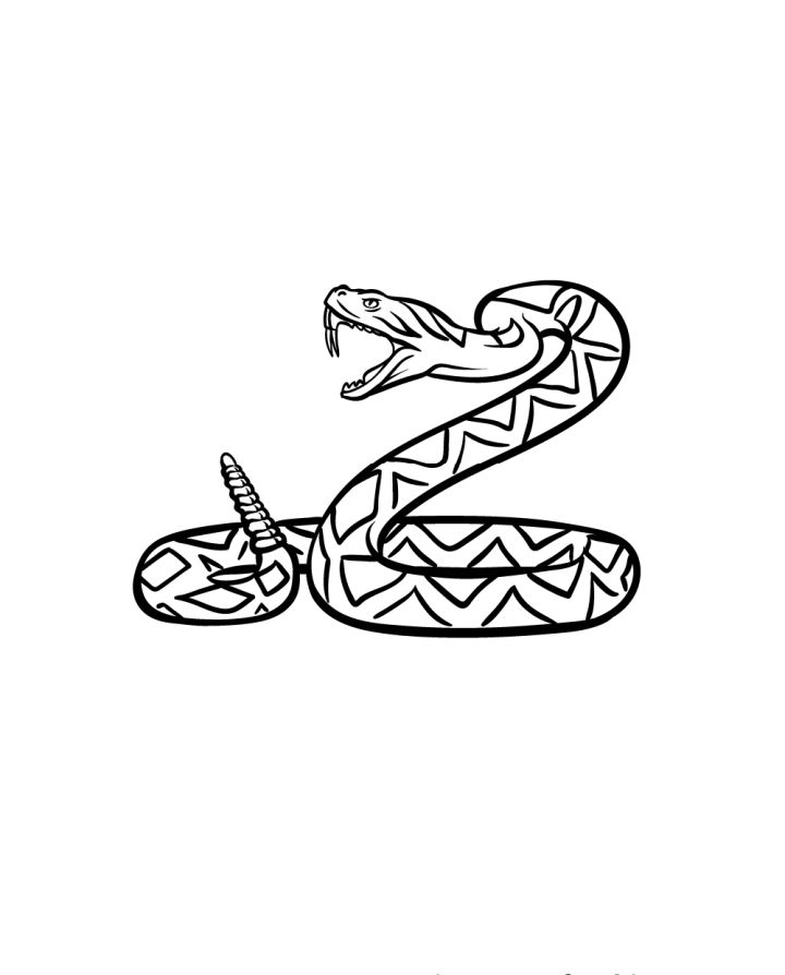 25 Easy Snake Drawing Ideas - How to Draw a Snake - Blitsy
