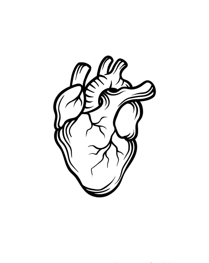15 Easy Human Heart Drawing Ideas - Draw A Human Heart