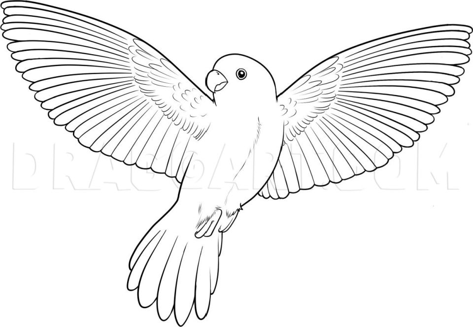 20 Easy Flying Bird Drawing Ideas - How To Draw A Flying Bird