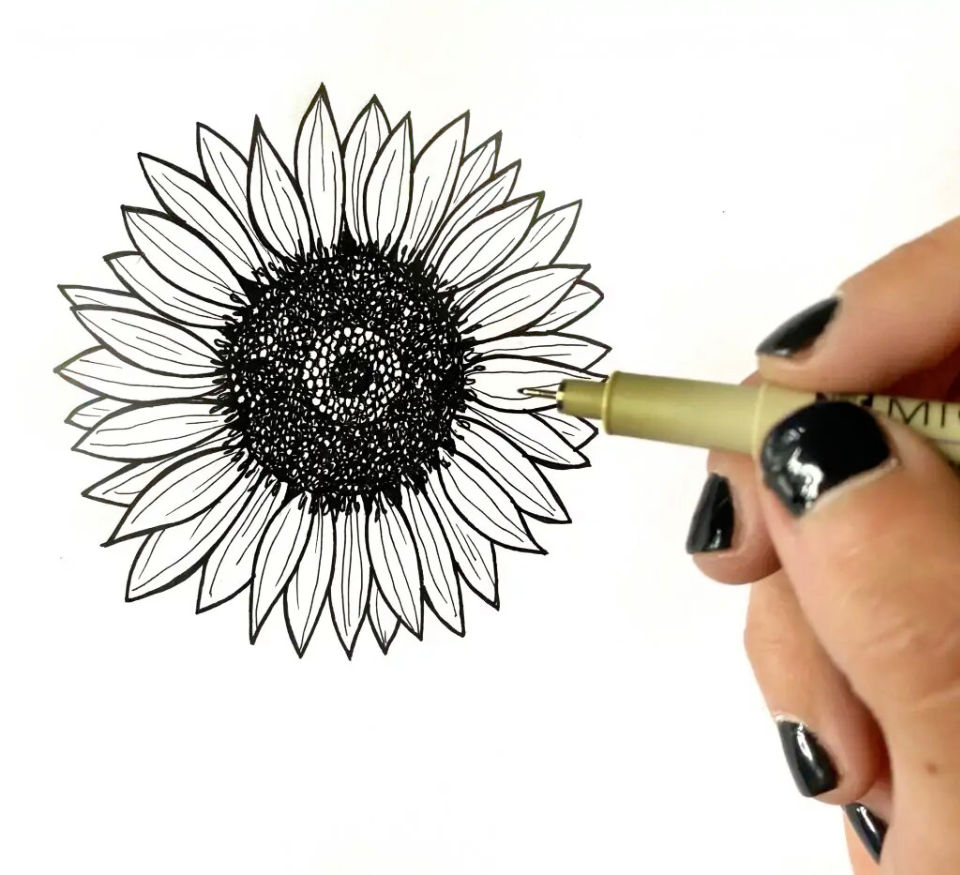 25 Easy Sunflower Drawing Ideas - How to Draw a Sunflower