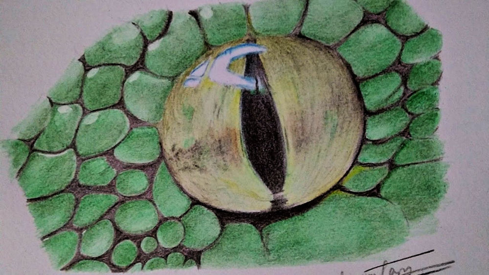 25 Easy Snake Drawing Ideas - How to Draw a Snake - Blitsy