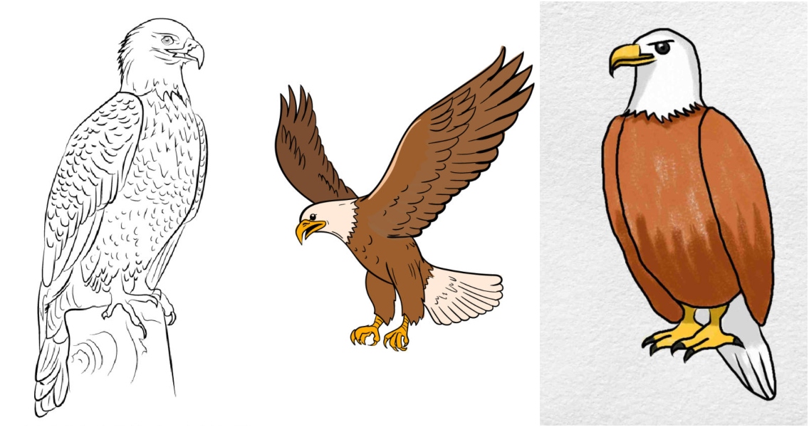 20 Easy Eagle Drawing Ideas - How To Draw An Eagle - Blitsy
