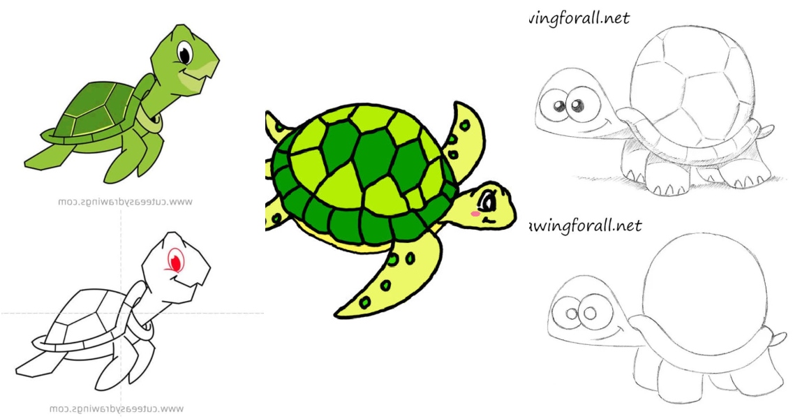 How to Draw an Easy Hawksbill Turtle - Killeen Thatter1999