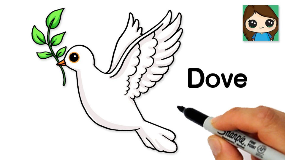 15 Easy Dove Drawing Ideas - How to Draw a Dove