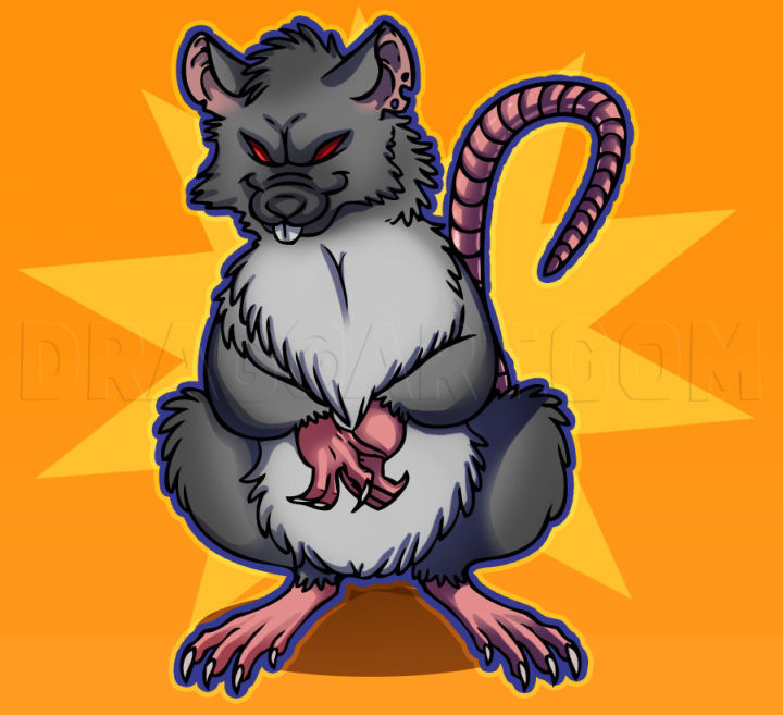 25 Easy Rat Drawing Ideas - How to Draw a Rat