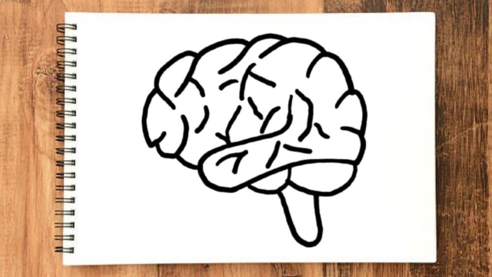 20 Easy Brain Drawing Ideas - How to Draw a Brain - Blitsy