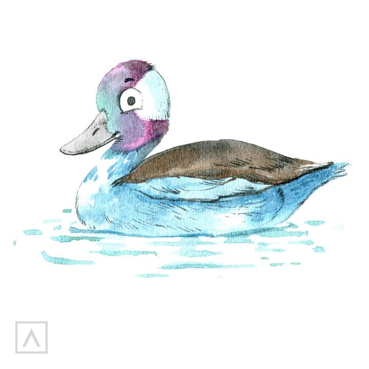 25 Easy Duck Drawing Ideas - How to Draw a Duck - Blitsy