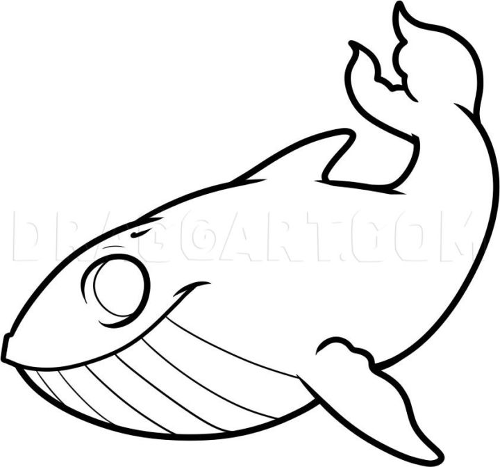 25 Easy Whale Drawing Ideas - How to Draw a Whale
