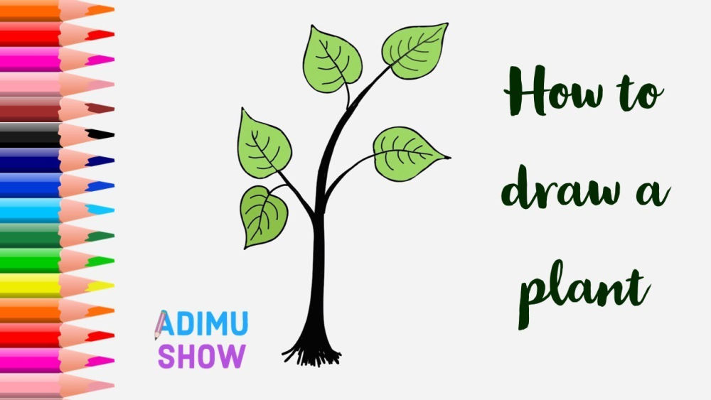30 Easy Plant Drawing Ideas - How to Draw a Plant