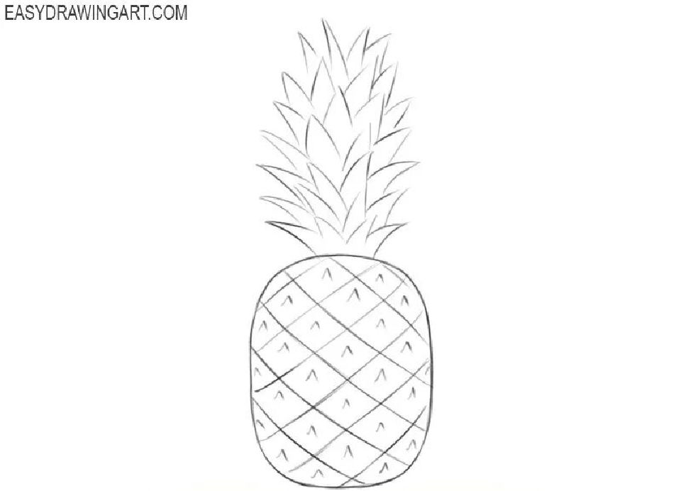 25 Easy Pineapple Drawing Ideas - How to Draw a Pineapple