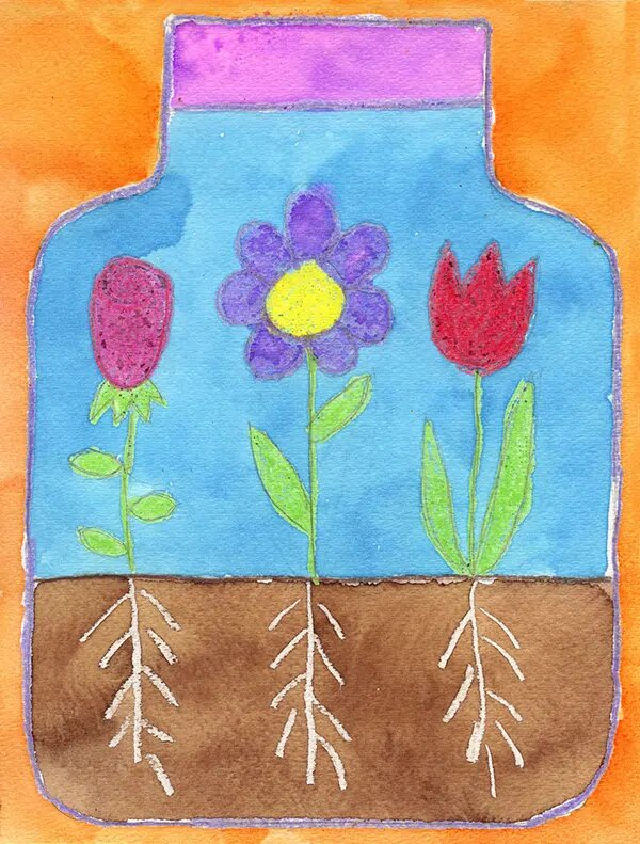 30 Easy Plant Drawing Ideas - How to Draw a Plant