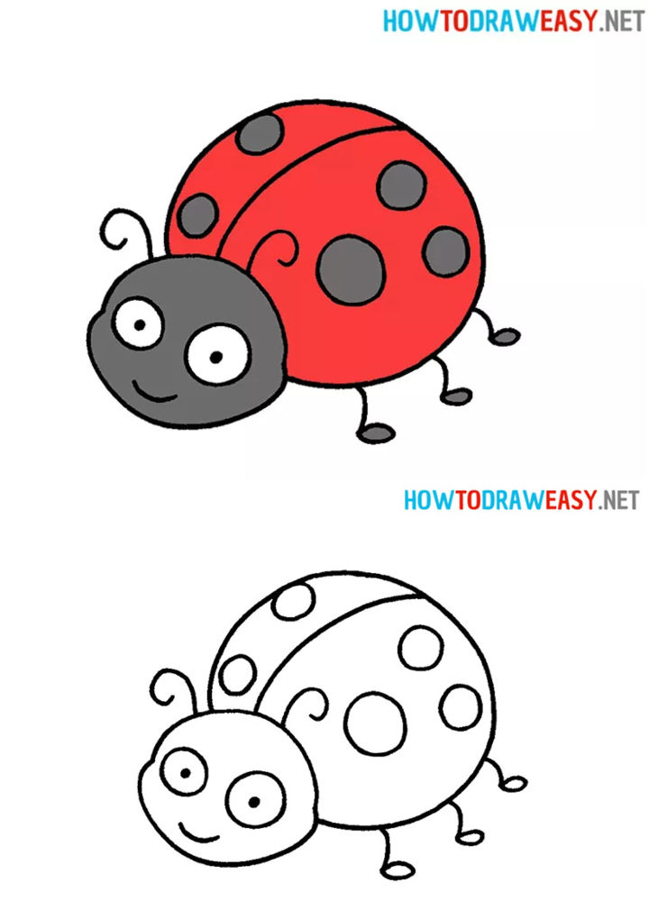 15 Easy Ladybug Drawing Ideas - How to Draw a Ladybug