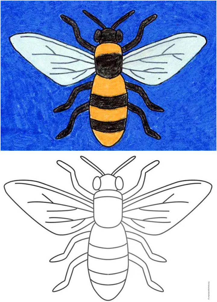 25 Cute Bee Drawing Ideas - How to Draw a Bee - Blitsy