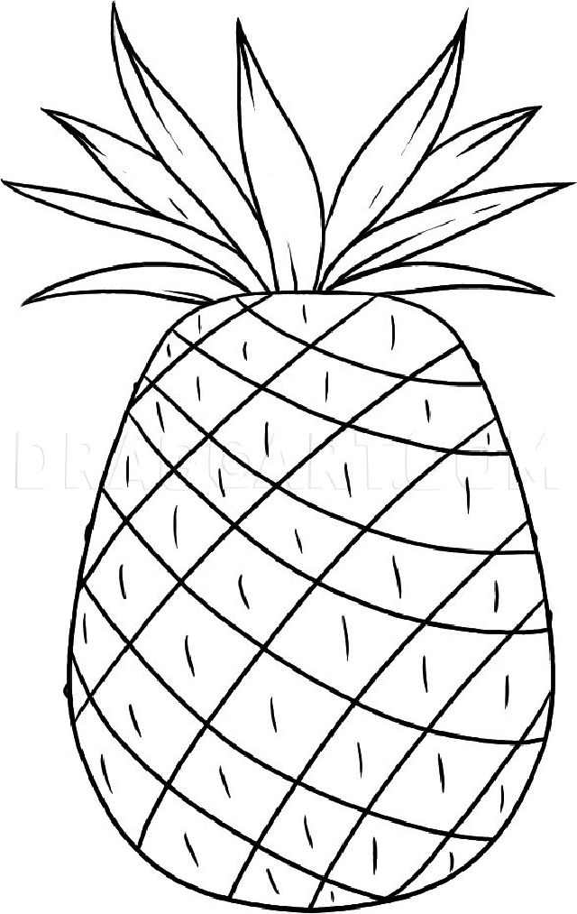 25 Easy Pineapple Drawing Ideas - How to Draw a Pineapple