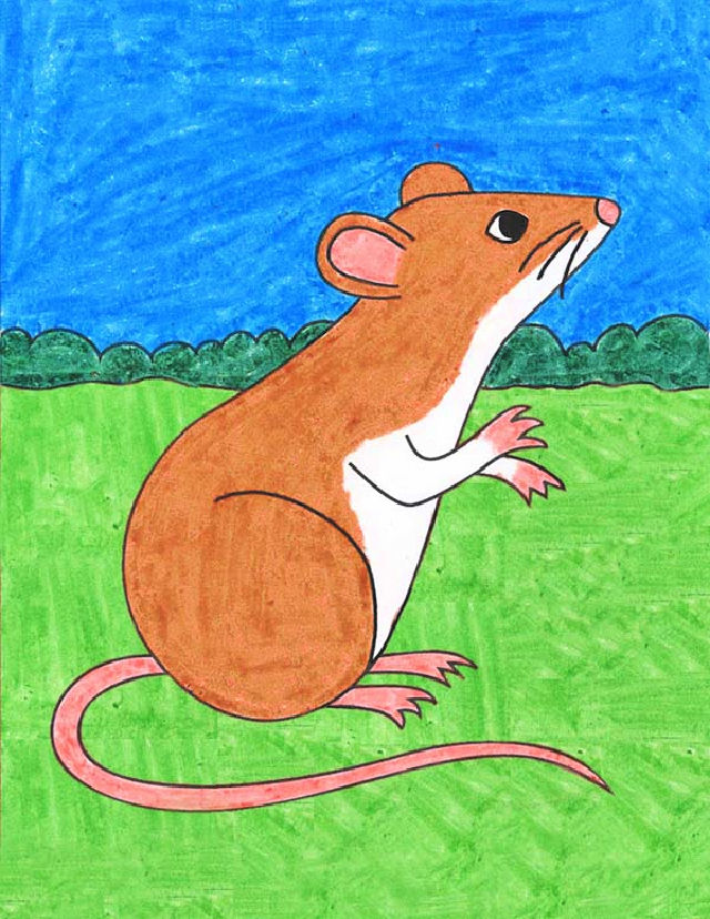 25 Easy Rat Drawing Ideas - How to Draw a Rat