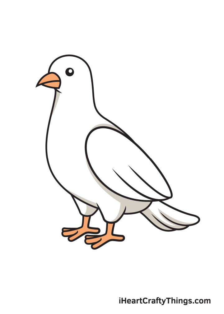 15 Easy Dove Drawing Ideas - How to Draw a Dove