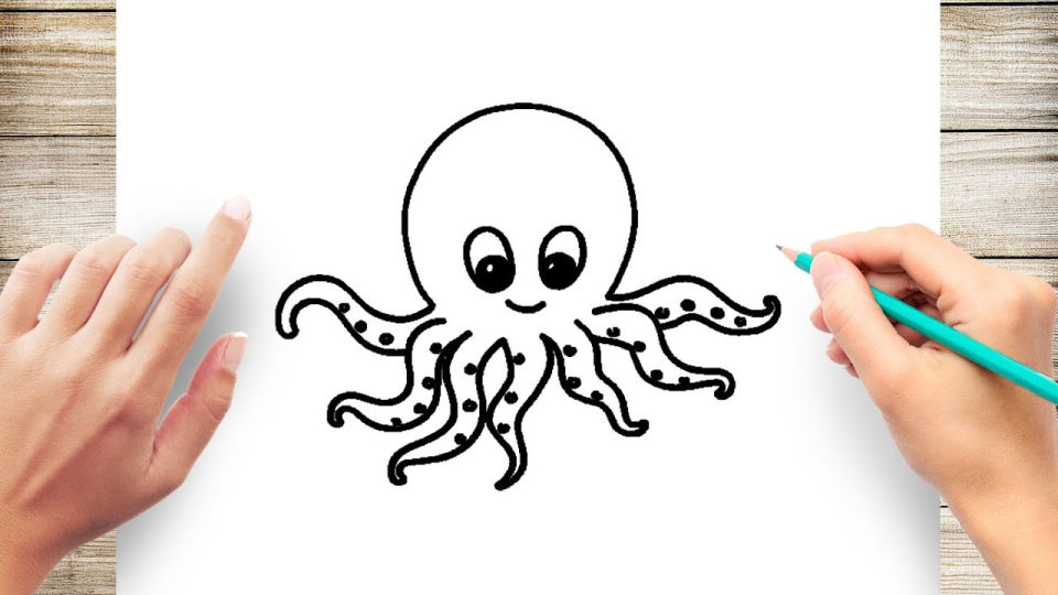 20 Easy Octopus Drawing Ideas - How to Draw an Octopus