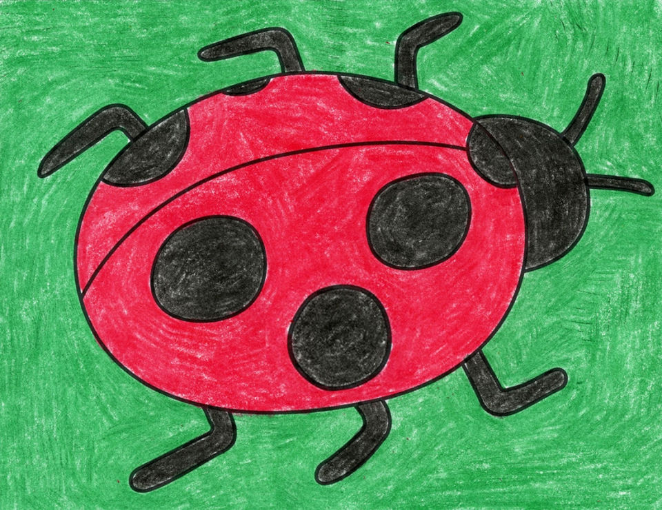 15 Easy Ladybug Drawing Ideas - How to Draw a Ladybug