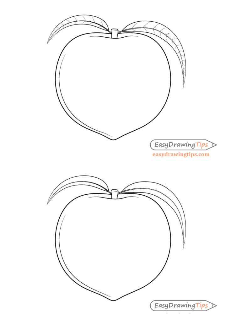 15 Simple Peach Drawing Ideas - How to Draw a Peach - Blitsy