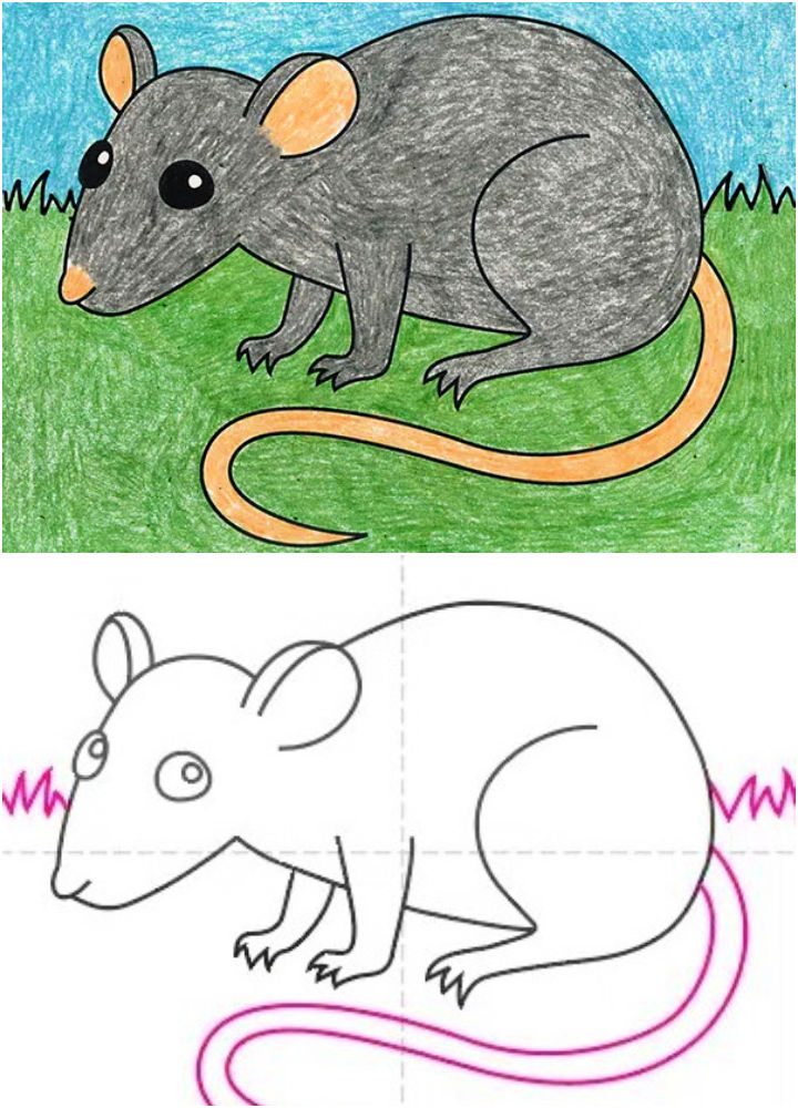 25 Easy Rat Drawing Ideas - How to Draw a Rat