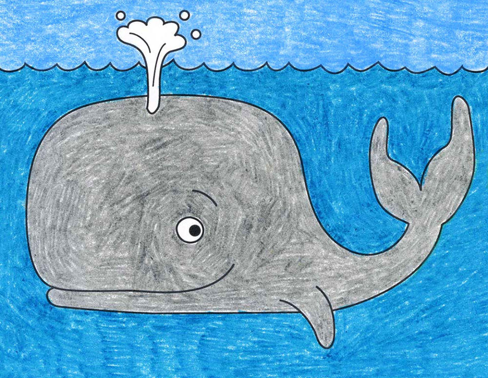 25 Easy Whale Drawing Ideas - How to Draw a Whale