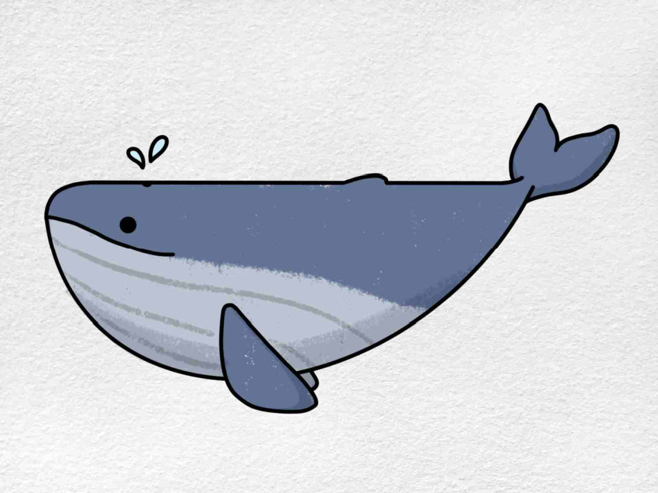 25 Easy Whale Drawing Ideas - How to Draw a Whale