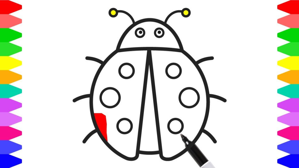 15 Easy Ladybug Drawing Ideas - How to Draw a Ladybug