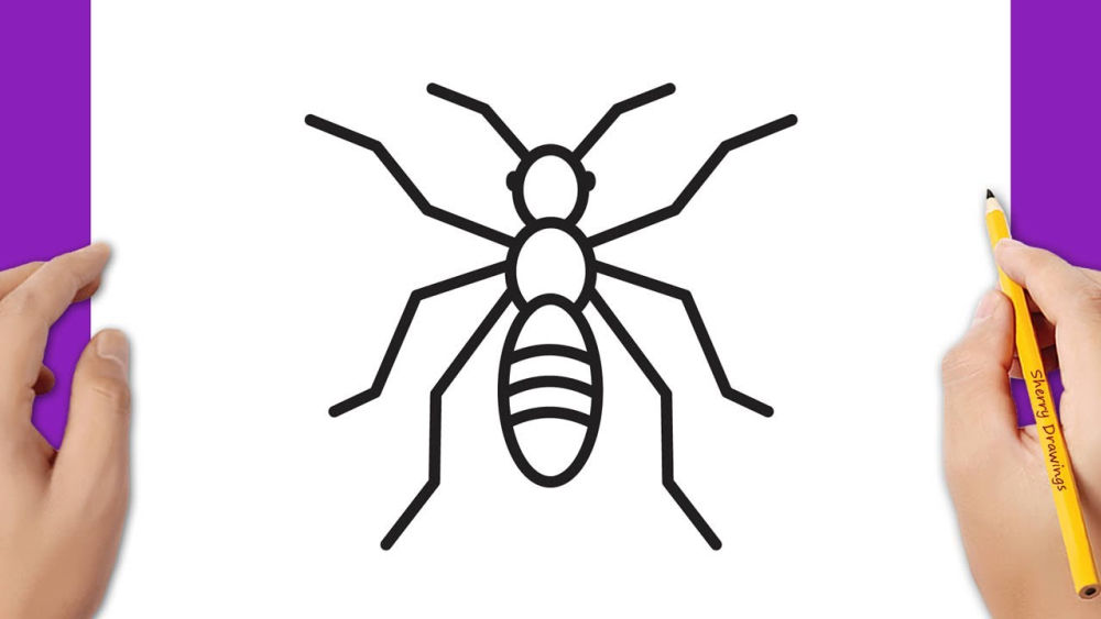 25 Easy Ant Drawing Ideas - How to Draw an Ant