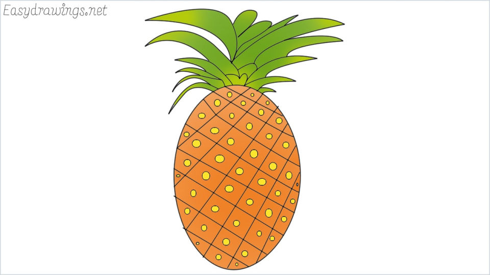 25 Easy Pineapple Drawing Ideas - How to Draw a Pineapple