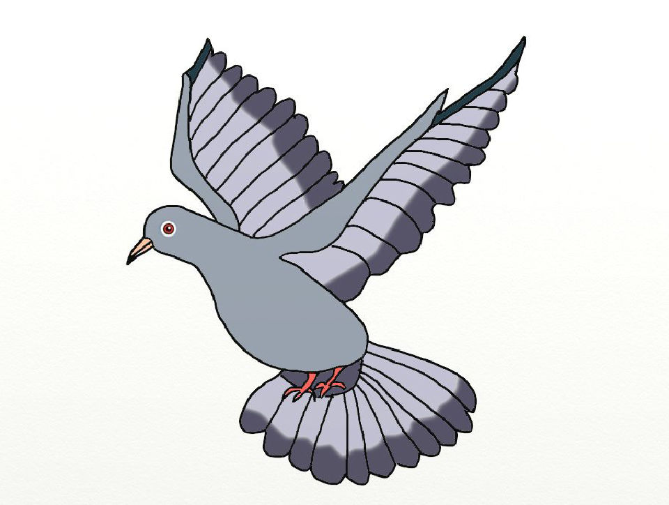 15 Easy Dove Drawing Ideas - How to Draw a Dove