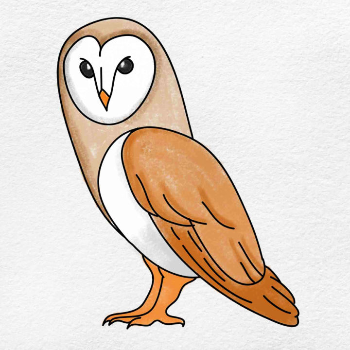 25 Easy Owl Drawing Ideas - How to Draw an Owl - Blitsy