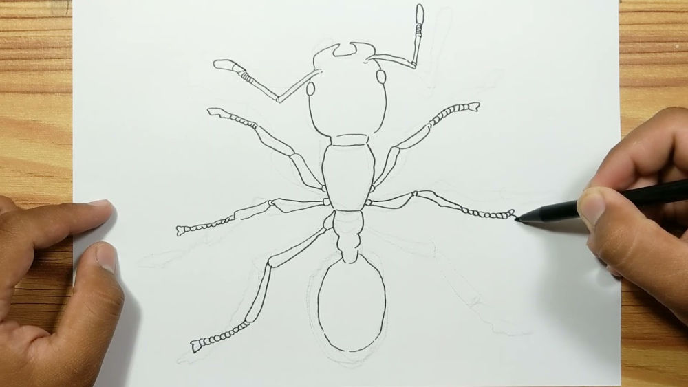 25 Easy Ant Drawing Ideas - How to Draw an Ant