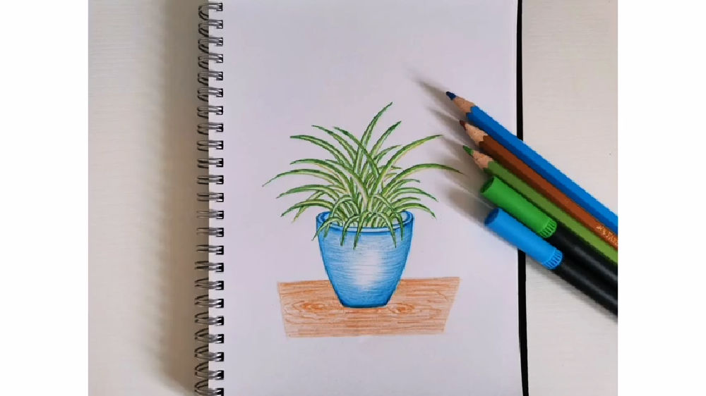 30 Easy Plant Drawing Ideas - How to Draw a Plant