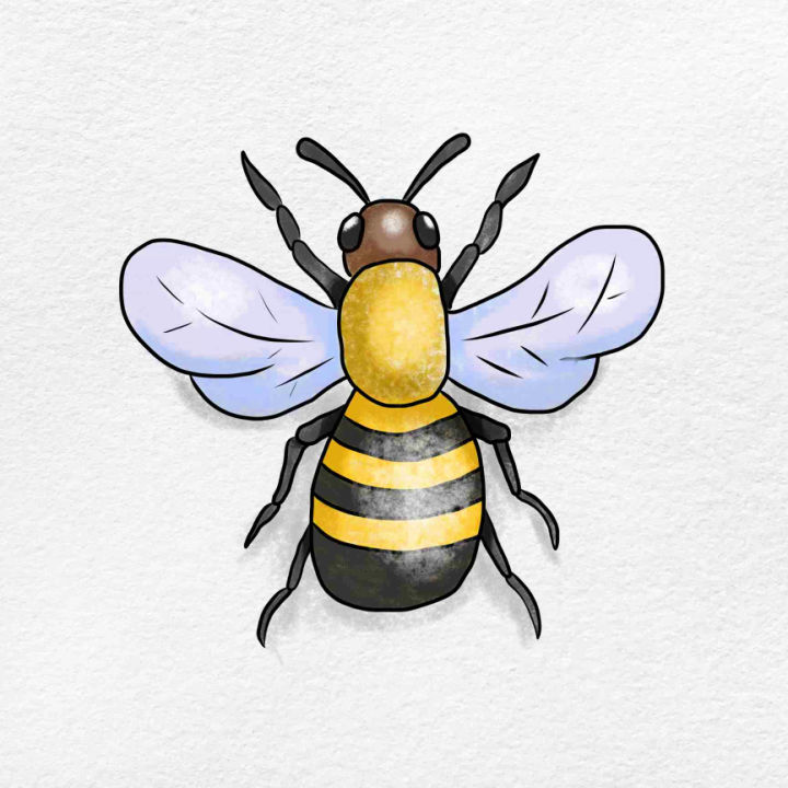 25 Cute Bee Drawing Ideas - How to Draw a Bee - Blitsy
