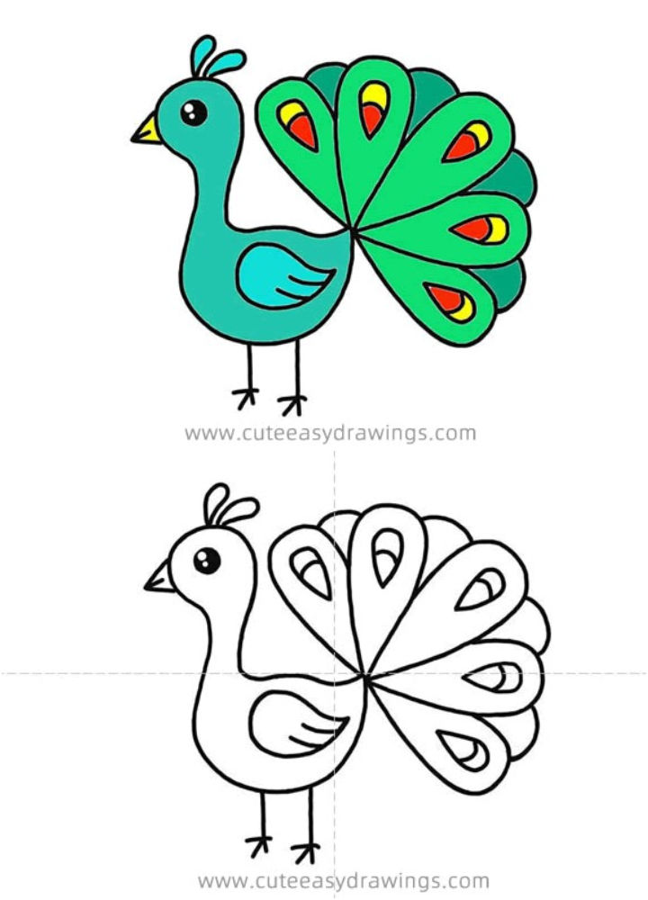 25 Easy Peacock Drawing Ideas - How to Draw Peacock