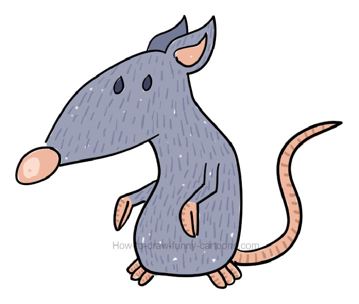 25 Easy Rat Drawing Ideas - How to Draw a Rat
