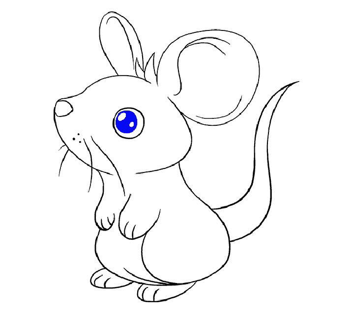 25 Easy Rat Drawing Ideas - How to Draw a Rat