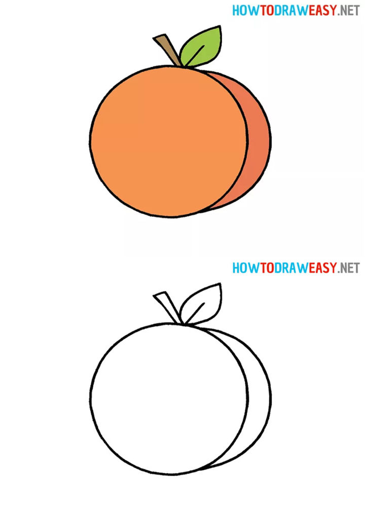 15 Simple Peach Drawing Ideas - How to Draw a Peach - Blitsy