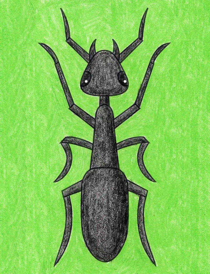 25 Easy Ant Drawing Ideas - How to Draw an Ant