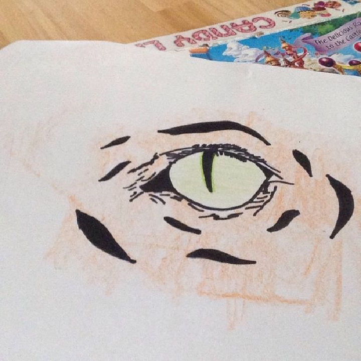 25 Easy Tiger Drawing Ideas - How to Draw a Tiger - Blitsy