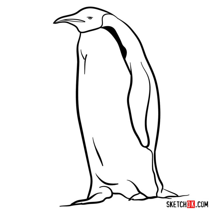 25 Easy Penguin Drawing Ideas - How to Draw a Penguin