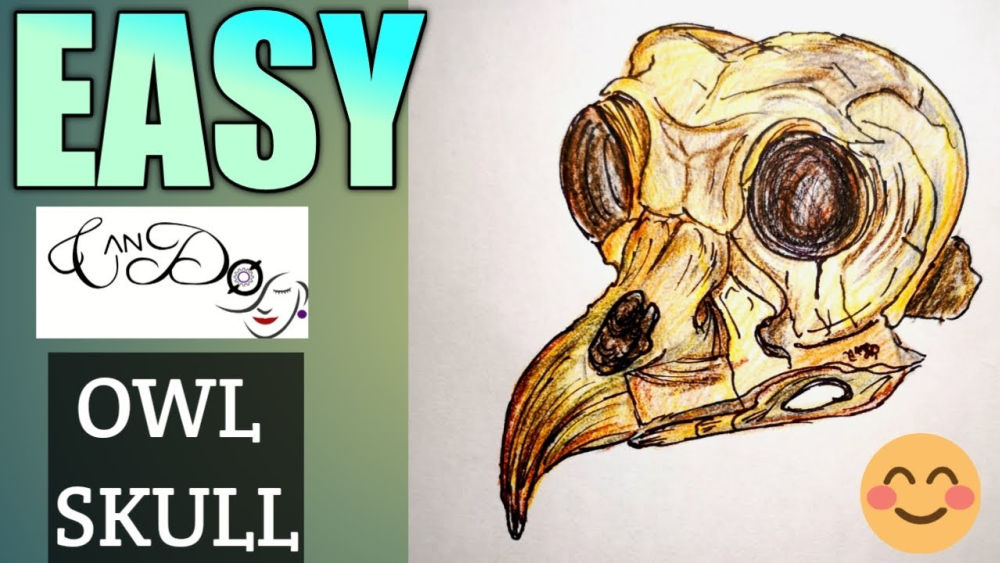 25 Easy Owl Drawing Ideas - How to Draw an Owl - Blitsy
