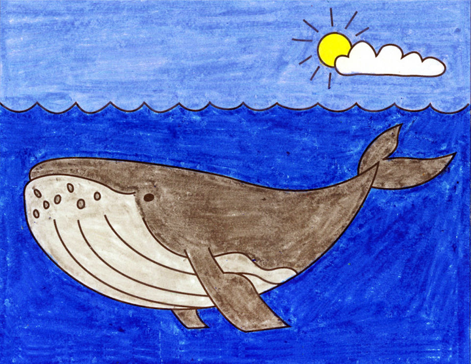 25 Easy Whale Drawing Ideas - How to Draw a Whale
