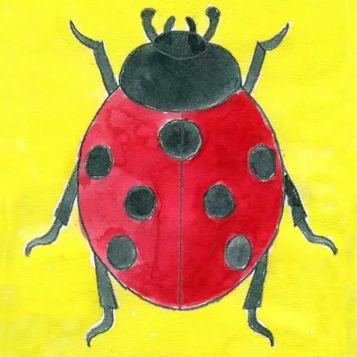 15 Easy Ladybug Drawing Ideas - How to Draw a Ladybug
