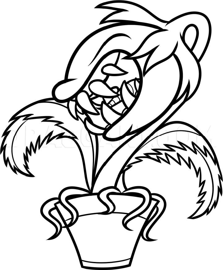 30 Easy Plant Drawing Ideas - How to Draw a Plant